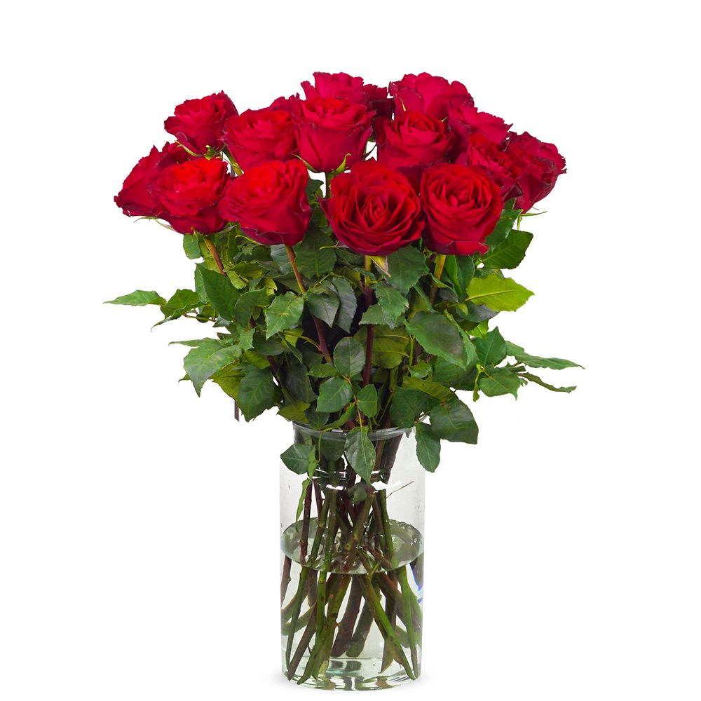 20 red roses - 20 red roses delivery in Germany | Regionsflorist