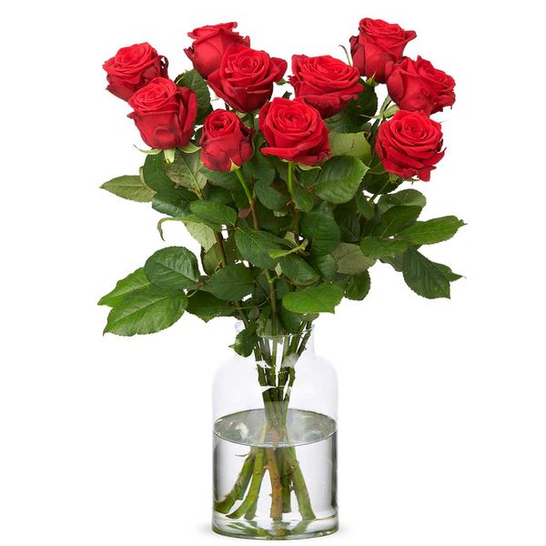 🥇 Same-day flower delivery by a local florist in the Netherlands ...