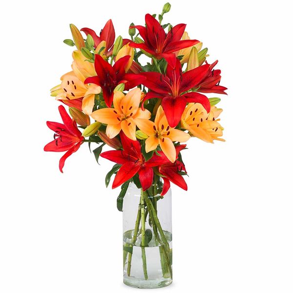 Flower delivery Germany or order flowers from € 17,95 | Regionsflorist.de