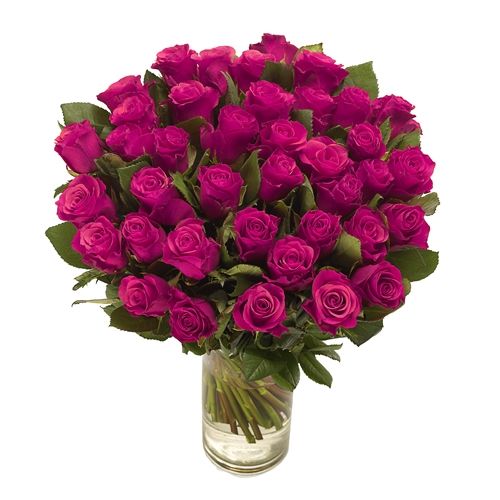 Bouquet of dark pink roses delivered in Holland | Regiobloemist