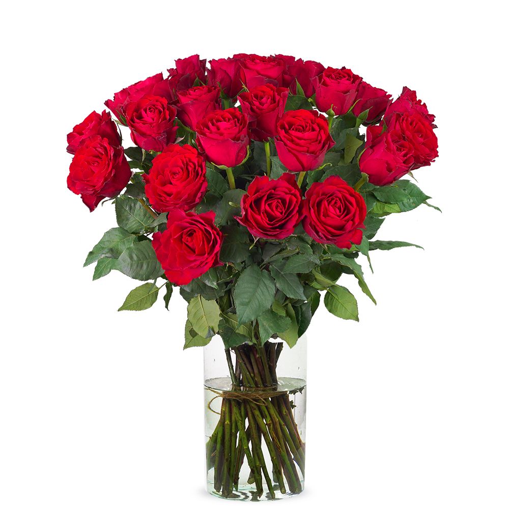 30 red roses - 30 red roses delivery in Germany | Regionsflorist