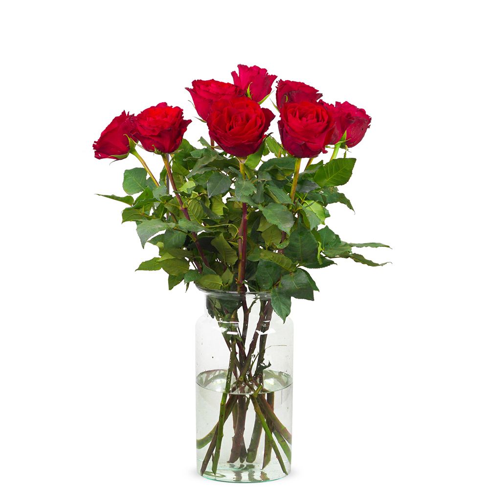 Order Romantic Madam Red roses | Regiobloemist.nl