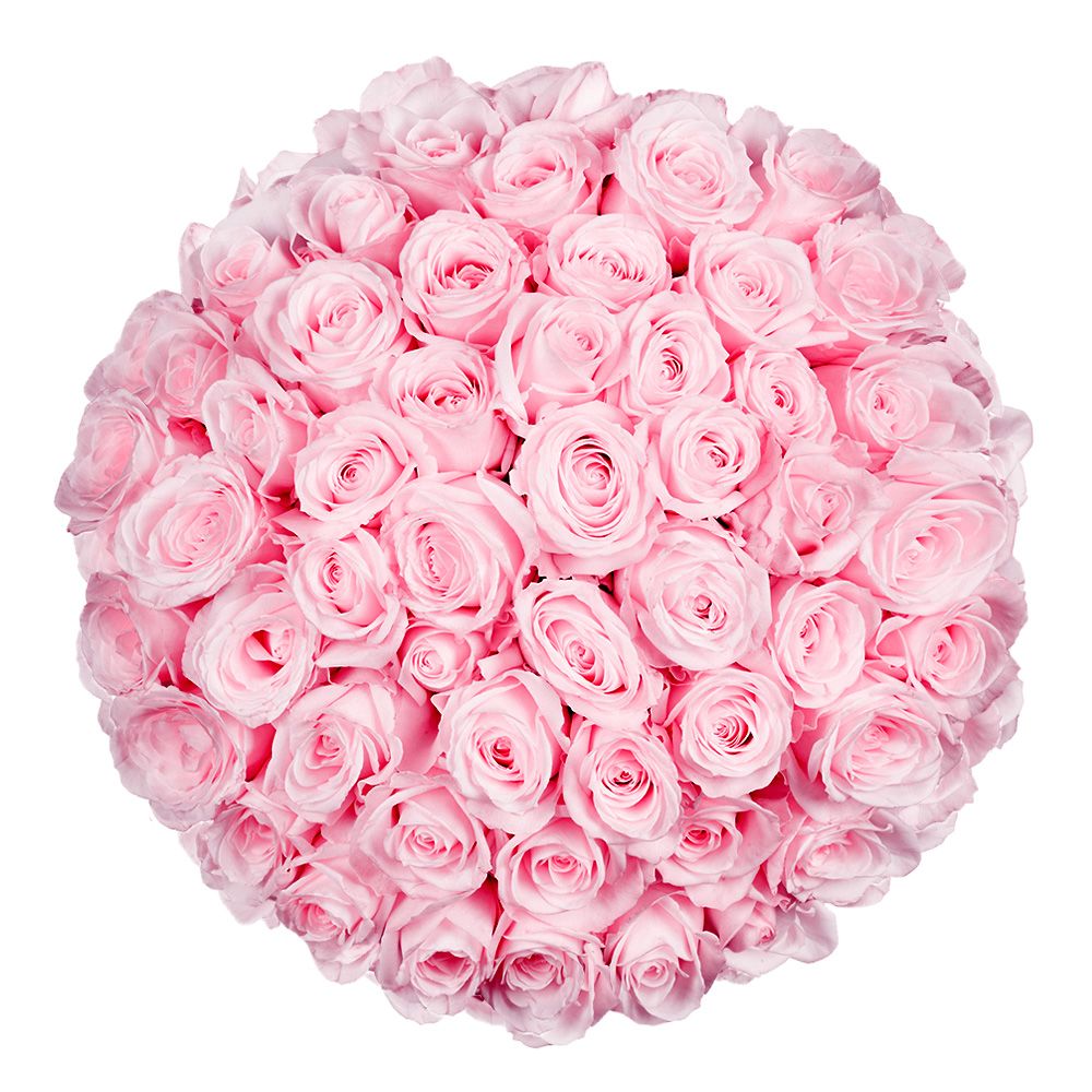 100 premium pink roses fresh from the grower | Regionsflorist