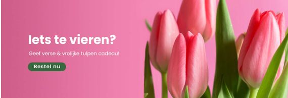 🥇 Bloemen bestellen en bloemen bezorgen België met versgarantie ...