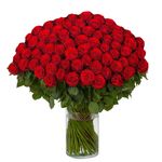 Order 100 red roses - Madam Red (60 cm) | Regiobloemist.be