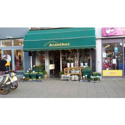 Bloemisten Bergum | Regiobloemist