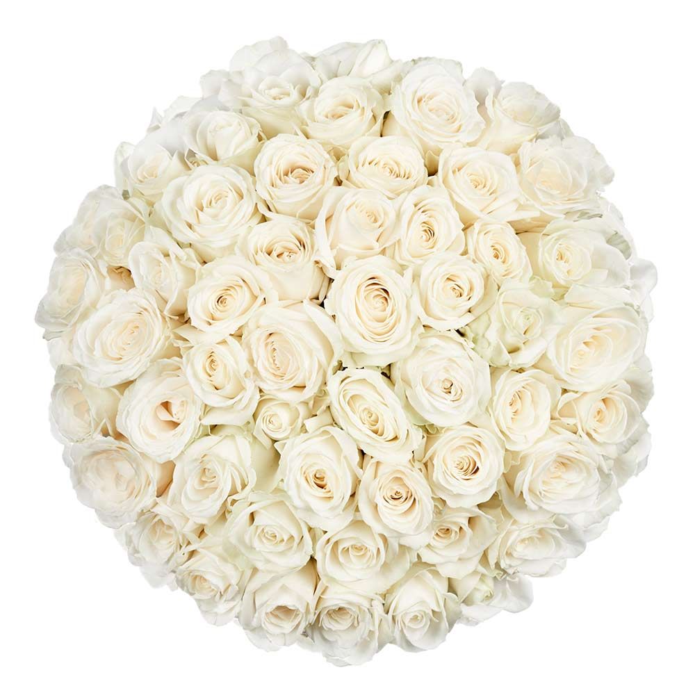 50 Premium white Roses fresh from the grower | Regionsflorist